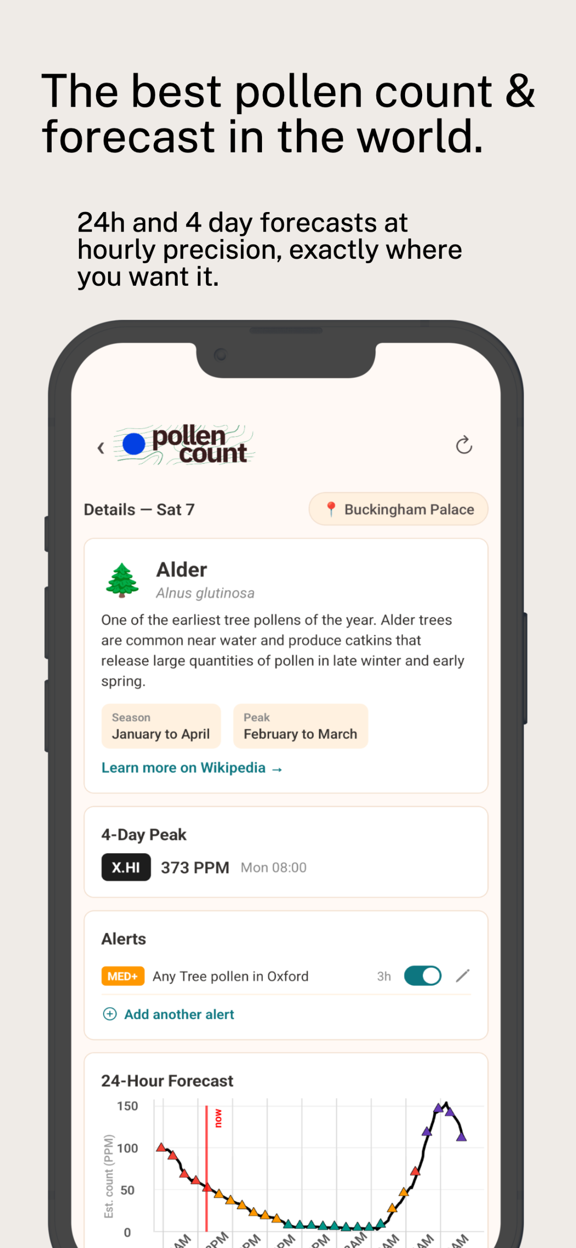Pollen Count Today – Hourly Forecast for 39 Species Worldwide