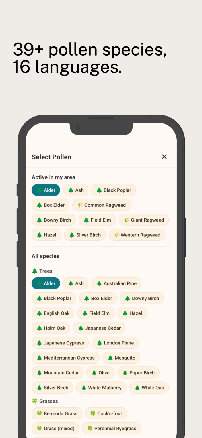 Pollen Count Today – Hourly Forecast for 39 Species Worldwide